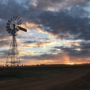 Laps for Life - Grace Fowler